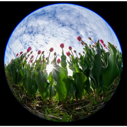 Get the Right Security Camera Lenses for Your Business